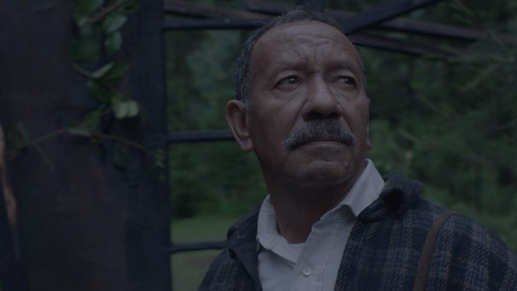 Fantastic Fest Review: FERAL Uses Found Footage In The Name Of The ...